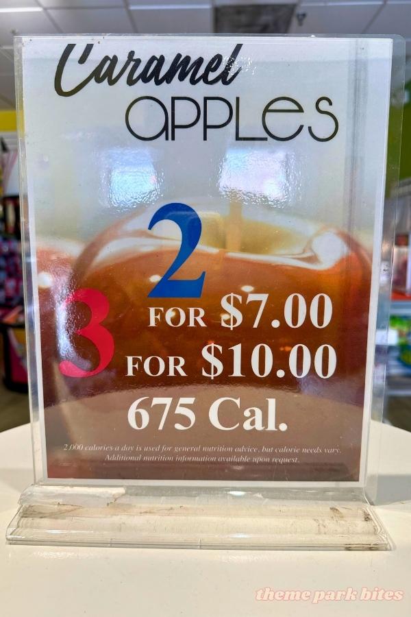 Coaster Candy - theme park bites