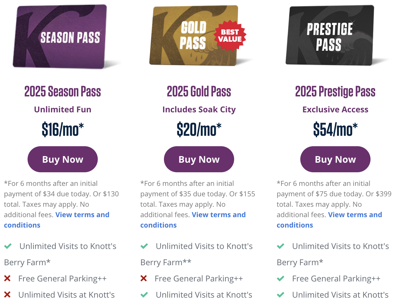 The Ultimate Six Flags Food Guide - theme park bites