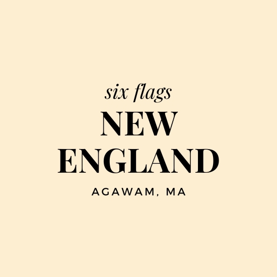 Six Flags - theme park bites