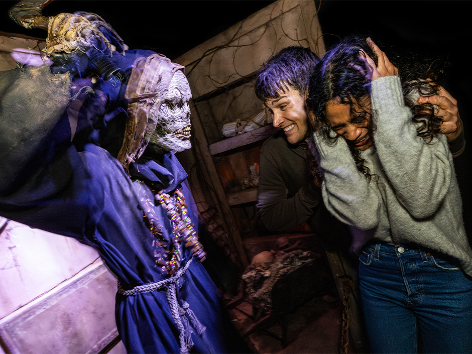 Universal Studios Hollywood • Halloween Horror Nights (HHN) • theme ...